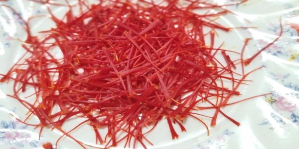 iran saffron |complete introduction to persian saffron - iranforworld